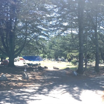 PLASKETT CREEK CAMPGROUND - Updated December 2025 - 132 Photos & 98 ...