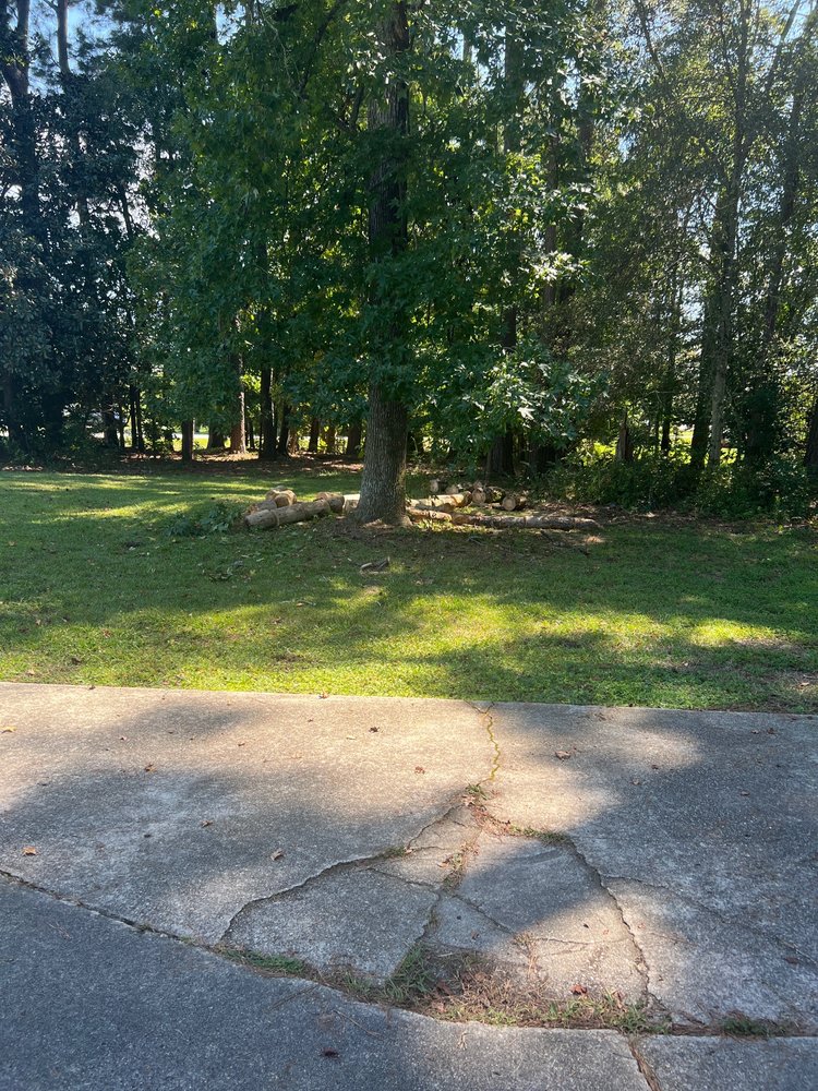 DROP ZONE TREE SERVICE AND LANDSCAPING - Updated December 2025 - 46 ...