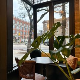 CAFE BELEM - Updated January 2025 - 17 Photos - 546 College Street ...