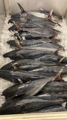 CMP’S ISLAND FISH MARKET - Updated October 2025 - 14 Photos - 920 S ...