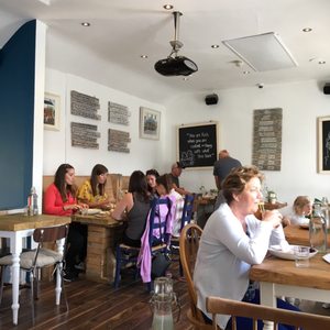 SPROUT & CO - Updated December 2025 - 58 Photos & 32 Reviews - 63 ...