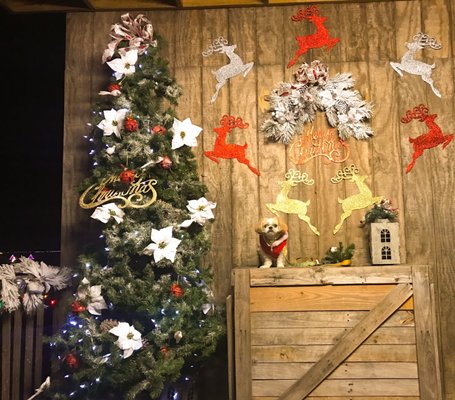 COTTOM FARM’S CHRISTMAS VILLAGE - Updated December 2025 - 25 Photos ...