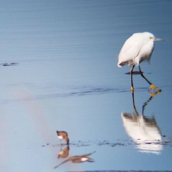 POINT MUGU RV PARK - Updated August 2025 - 31 Photos - 311 Main Rd ...