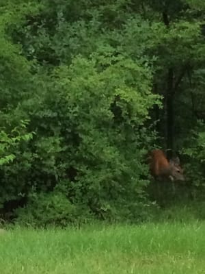 KOBACKER HOUSE-HOSPICE AT RIVERSIDE AND GRANT - Updated January 2026 ...