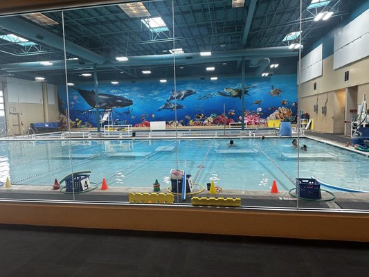 AMERICAN SWIM ACADEMY - Updated December 2025 - 51 Photos & 246 Reviews ...