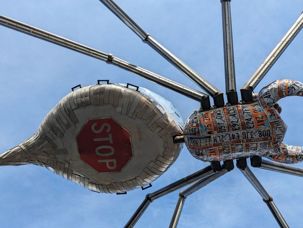 GIANT LICENSE PLATE SPIDER - Updated June 2026 - 11 Photos - St. George ...