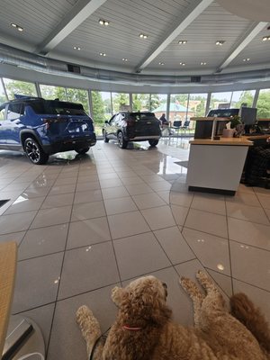 BRYNER CHEVROLET - Updated December 2025 - 33 Photos & 98 Reviews ...