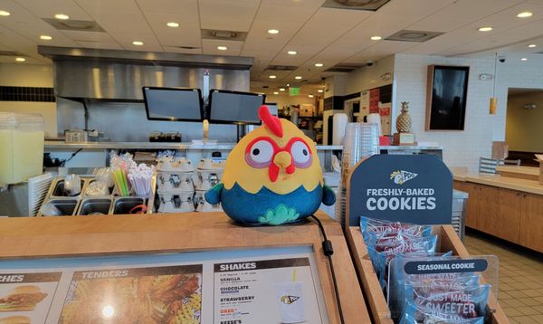 PDQ CHICKEN - Updated September 2025 - 405 Photos & 323 Reviews - 10121 ...