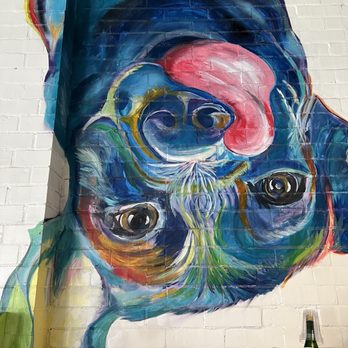 SKIPTOWN - Updated December 2025 - 201 Photos & 115 Reviews - 222 ...