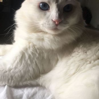 MADERA VETERINARY CENTER - Updated January 2026 - 27 Photos & 51 ...