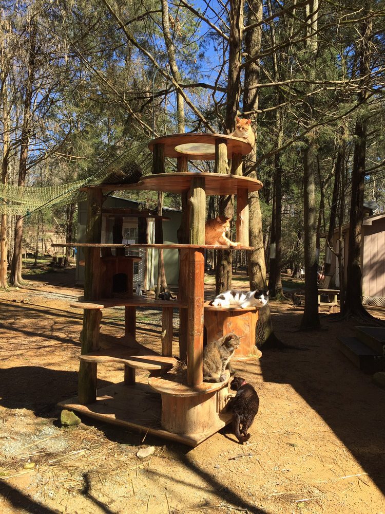 GOATHOUSE REFUGE - Updated May 2025 - 34 Photos & 20 Reviews - 680 ...