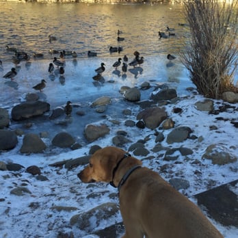 CRISSIE CAUGHLIN PARK - Updated August 2024 - 42 Photos & 12 Reviews ...