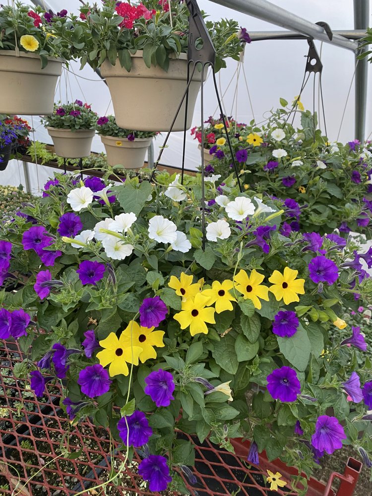 MAPLEWOOD NURSERY - Updated June 2026 - 41282 215th Ave, Pelican Rapids ...