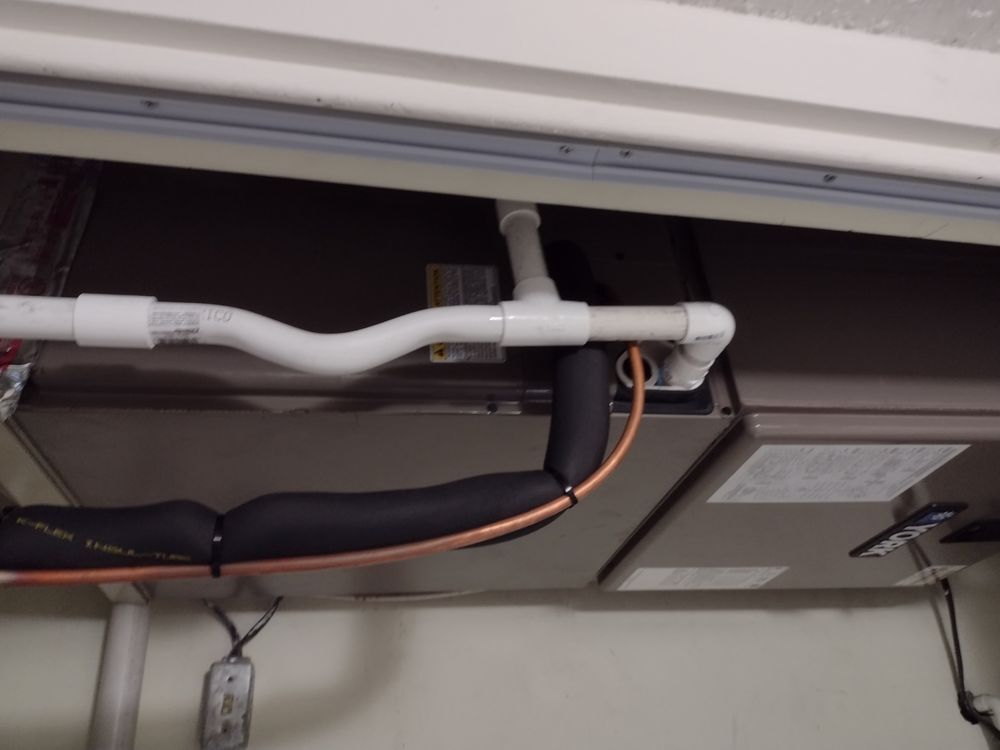 NEW SPIRIT - Updated December 2025 - 12 Photos - 601 State Rd, Croydon ...