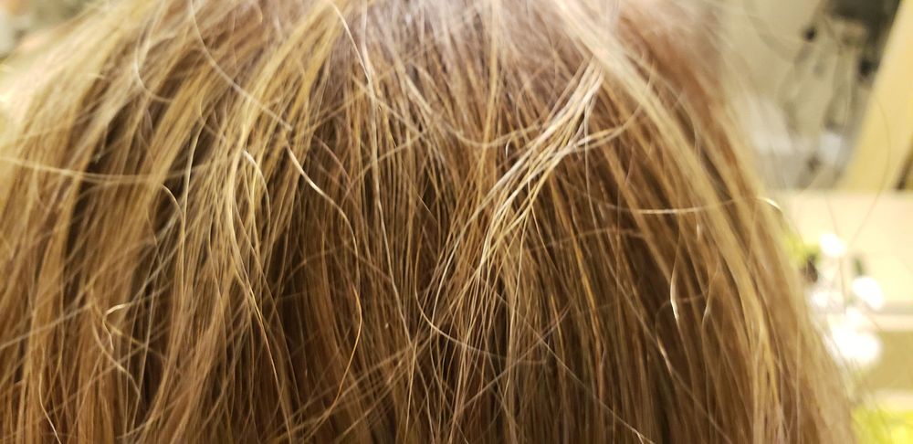 EYMA SALON AND SPA - Updated June 2024 - 66 Photos & 85 Reviews - 7829 ...