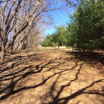 BINKY LEE PRESERVE - NATURAL LANDS - Updated July 2025 - 40 Photos ...