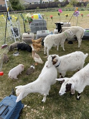 JULPUN PARK - Updated October 2025 - 5500 Sierra Trail Way, Antioch ...