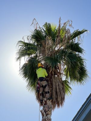 VALLEY TREE CARE - Updated December 2025 - 44 Photos & 105 Reviews ...