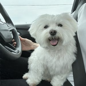 ANIMAL RESCUE LEAGUE OF IOWA - Updated February 2025 - 20 Photos & 20 ...