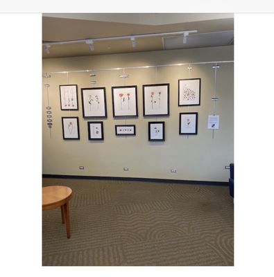 ELA AREA PUBLIC LIBRARY - Updated January 2026 - 11 Photos & 16 Reviews ...