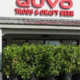 QUVO TACOS & CRAFT BEER - Updated December 2025 - 398 Photos & 295 ...