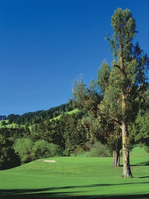 TILDEN PARK GOLF COURSE - 77 Photos & 226 Reviews - 10 Golf Course Dr ...
