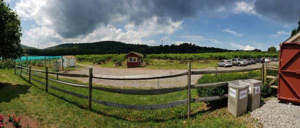 PHILLIPS FARMS - 77 Photos & 23 Reviews - 91 Crab Apple Hill Rd ...