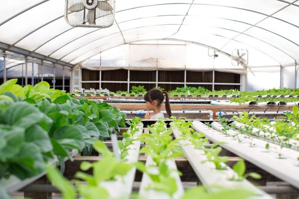 SUNDIAL FARM - Updated December 2025 - 27 Photos & 16 Reviews - 805 Mar ...