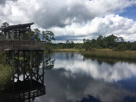 LATHAM WHITEHURST NATURE PARK - Updated May 2025 - 1095 Broad Creek Rd ...