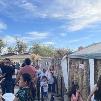 TOLMACHOFF FARMS - Updated November 2024 - 217 Photos & 158 Reviews ...