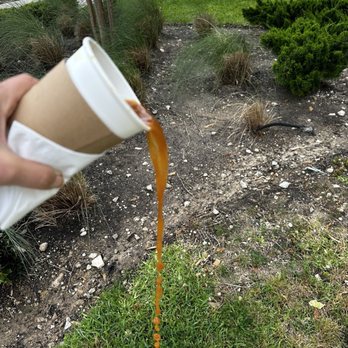 DELLA COFFEE - Updated July 2024 - 81 Photos & 18 Reviews - 1000 W Gray ...