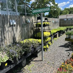 THE CHAS. C. HART SEED - Updated September 2025 - 304 Main St ...