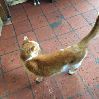 CAFÉ DE WETERING - Updated September 2025 - 10 Photos & 16 Reviews ...