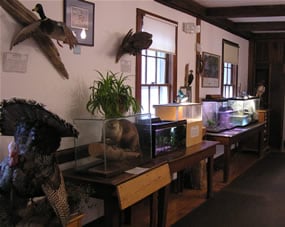 AUDUBON-SHARON AUDUBON CENTER - Updated July 2025 - 14 Photos - 325 ...