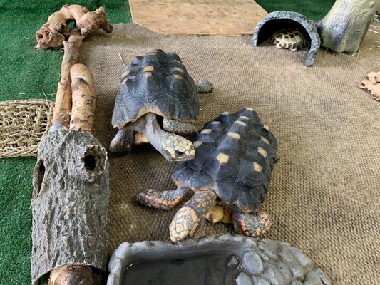 AQUARIUM & SHARK LAB BY TEAM ECCO - 42 Photos & 18 Reviews - 511 N Main ...