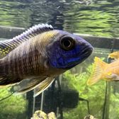 HOMINY MUNICIPAL LAKE - Updated January 2025 - 24903 OK-20, Hominy ...