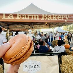 Best Fairs Near Me - October 2025: Find Nearby Fairs Reviews - Yelp