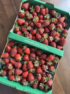 SPOONER BERRY FARMS - SEATTLE - Updated January 2026 - 11 Photos - 7726 ...