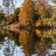 CARPENTER LAKE NATURE PRESERVE - 149 Photos & 41 Reviews - 10 Mile Rd ...