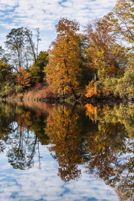 CARPENTER LAKE NATURE PRESERVE - Updated October 2025 - 161 Photos & 48 ...