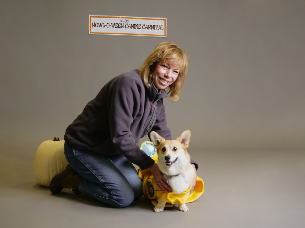 SIRIUS STRIDES DOG TRAINING - Updated December 2025 - 230 Alpha Park ...