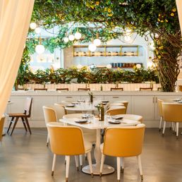 MOTEK - BOCA RATON - Updated October 2025 - 456 Photos & 176 Reviews ...