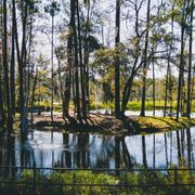 DIAMOND D RANCH - 47 Photos & 15 Reviews - 5903-1 Solomon Rd ...