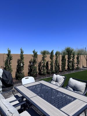 MOON VALLEY NURSERIES - Updated January 2025 - 580 Photos & 306 Reviews - 2653 East McKellips Rd ...