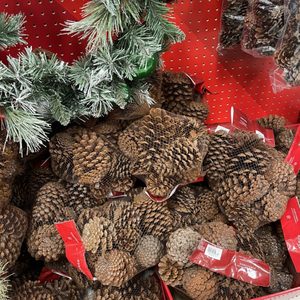 TARGET - Updated August 2025 - 206 Photos & 60 Reviews - 1300 Long ...