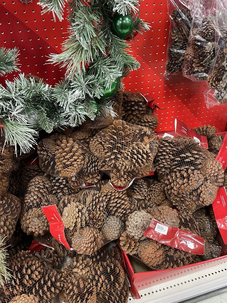 TARGET - Updated October 2025 - 292 Photos & 54 Reviews - 450 Azalea ...