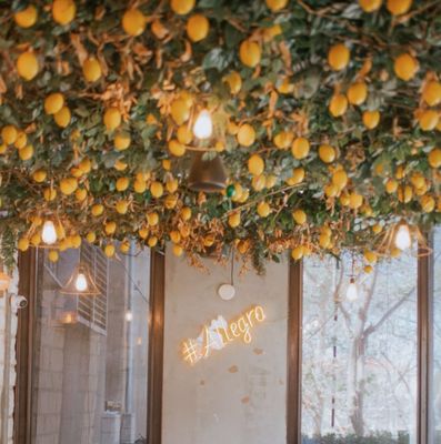 ALLEGRO RESTAURANT AND BAR | 1812 Photos & 1247 Reviews | 1536 India St ...