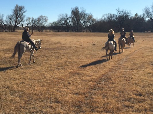 SILVER WIND STABLES - Updated December 2025 - 10 Reviews - 24413 N May ...