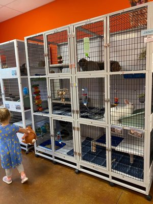 RESCUE RANCH - Updated December 2025 - 32 Photos - 1424 Turnersburg Hwy ...