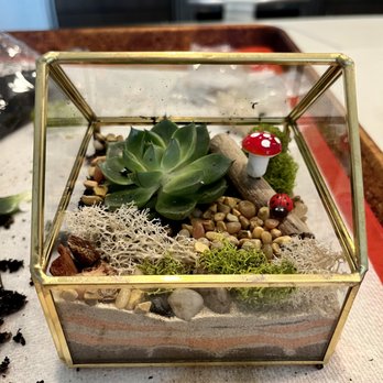 MODERN TERRARIUM BAR BY RECREATEU - Updated December 2025 - 405 Photos ...